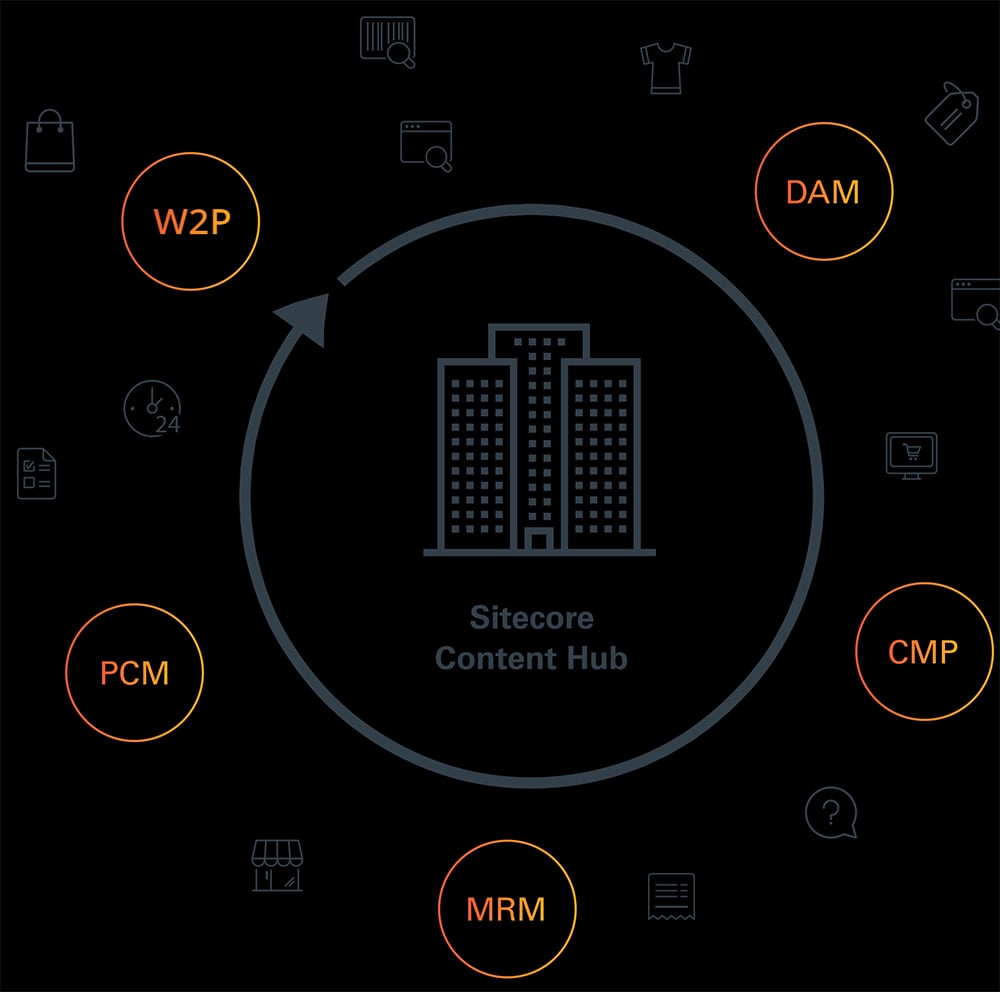Sitecore Content Hub Solutions - Creative Folks IT